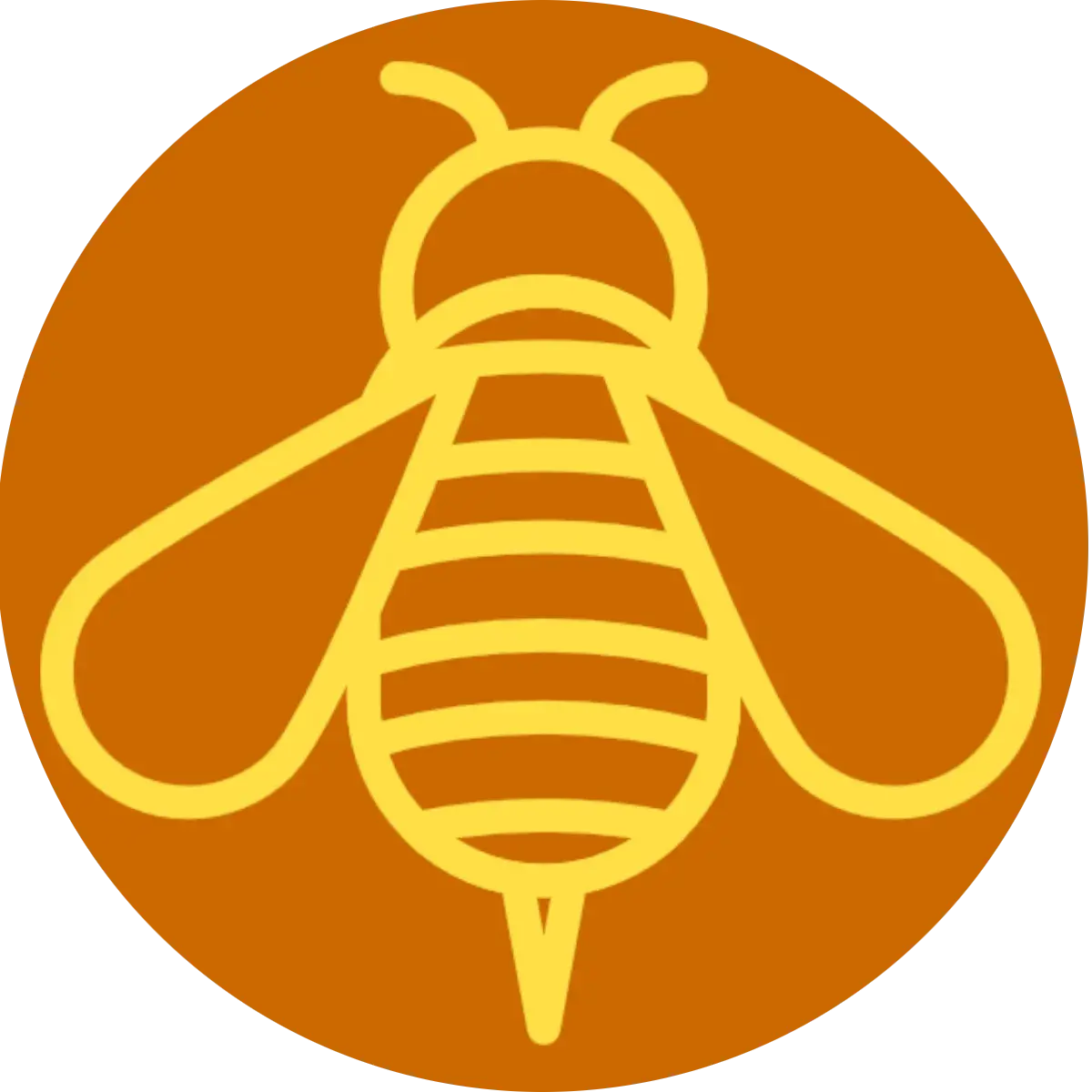 Play Therapy in Kota Kinabalu | Play With Bee